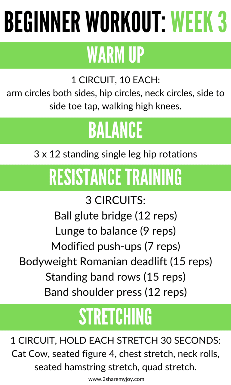 Build the Basics - Beginner Workout Plan - 2sharemyjoy.com